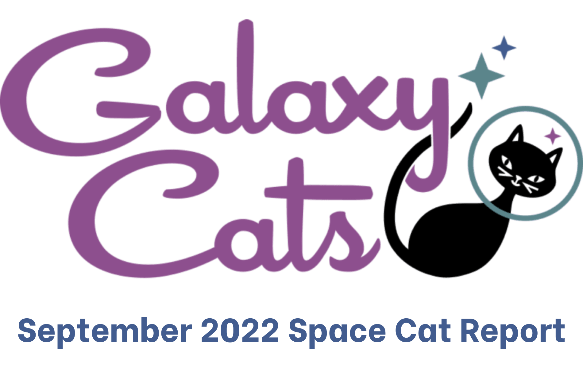 The Space Cat Report September 2022 | Galaxy Cats Vet Center