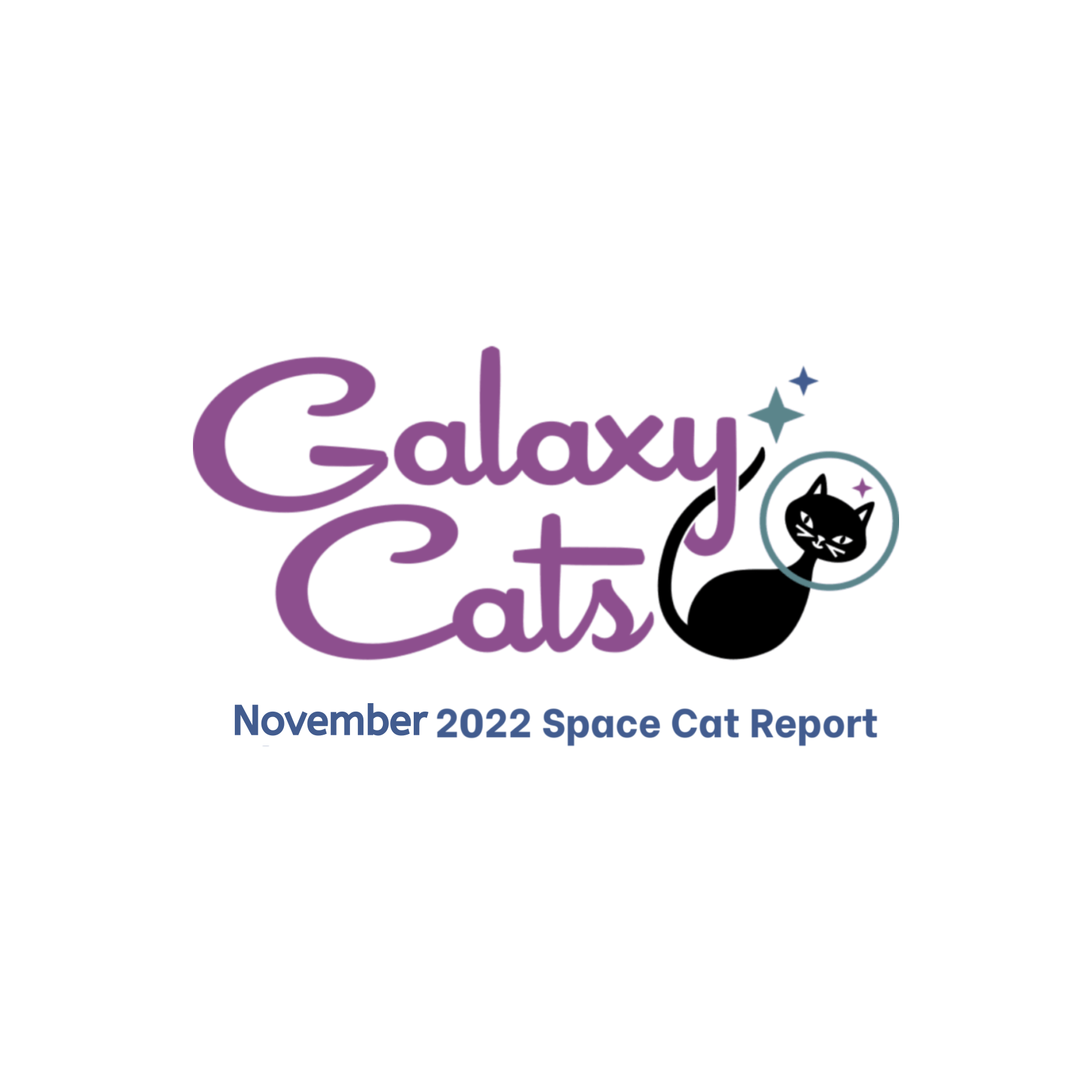 The Space Cat Report November 2022 | Galaxy Cats Vet Center